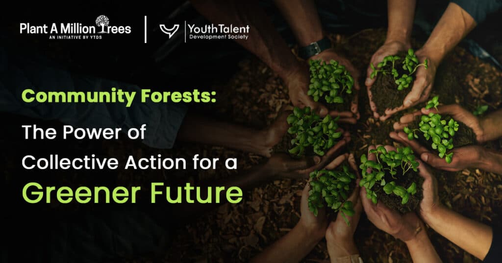 Community Forests & Sustainability: How Local People Protect Nature