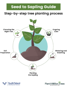 Tree Planting Guide for Beginners | Easy Steps to Grow Trees