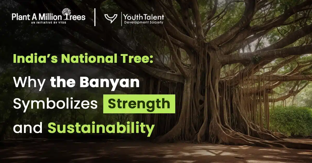 National Tree of India: Why the Banyan Holds the Honor