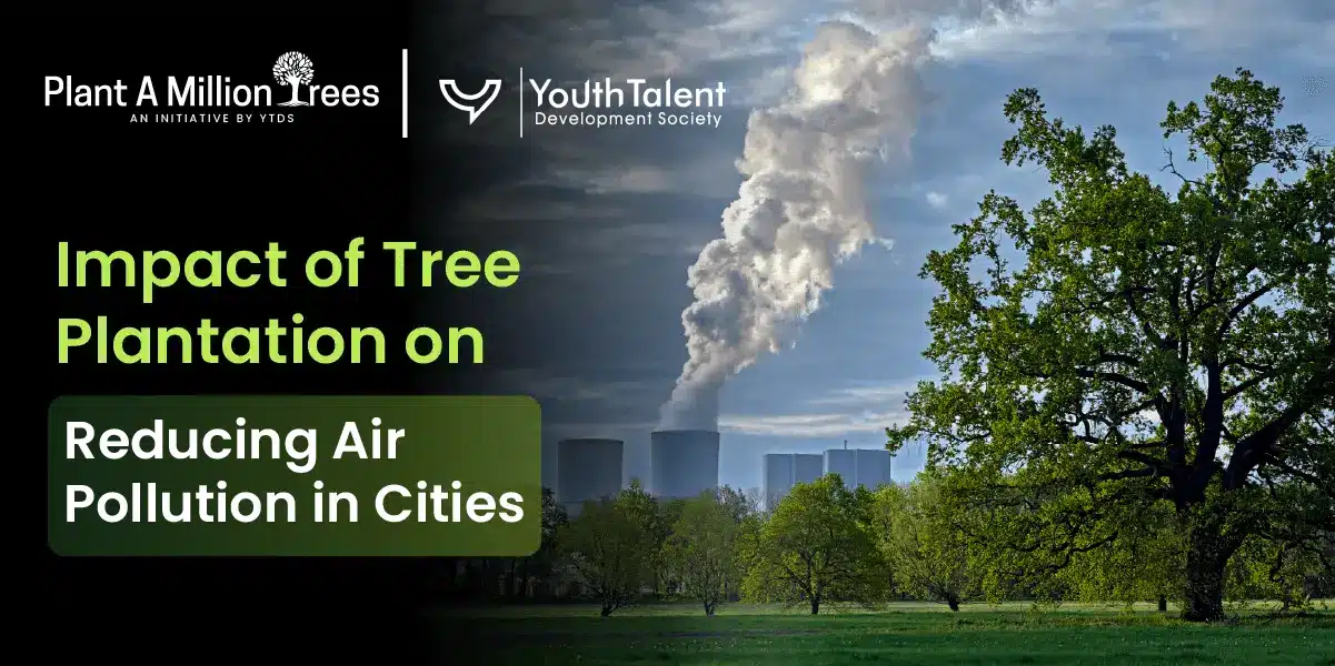 Tree Plantation and Air Pollution: A Green Urban Solution