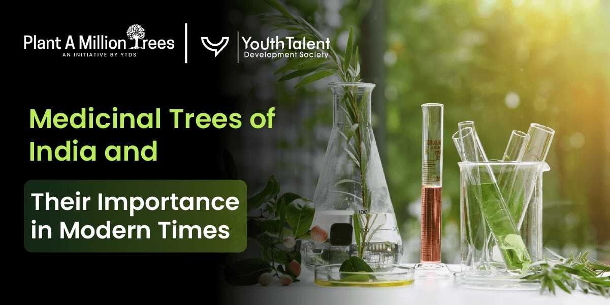 Medicinal Trees of India: Ancient Healing Power in Modern Times