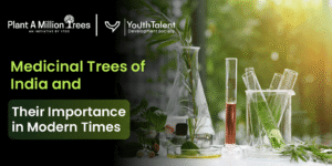 Medicinal Trees of India: Ancient Healing Power in Modern Times