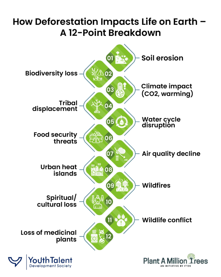 12 Alarming Effects of Deforestation on Our Planet - Plant a Million Trees