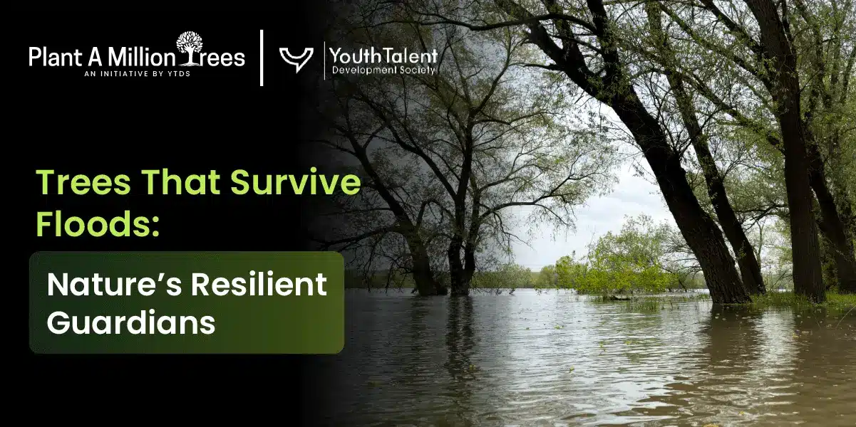 Top 10 Trees That Survive Floods in India + Real Case Studies