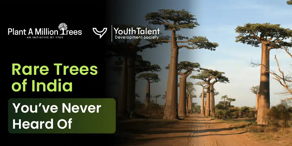 Rare Trees in India: Names, Facts & Conservation Efforts