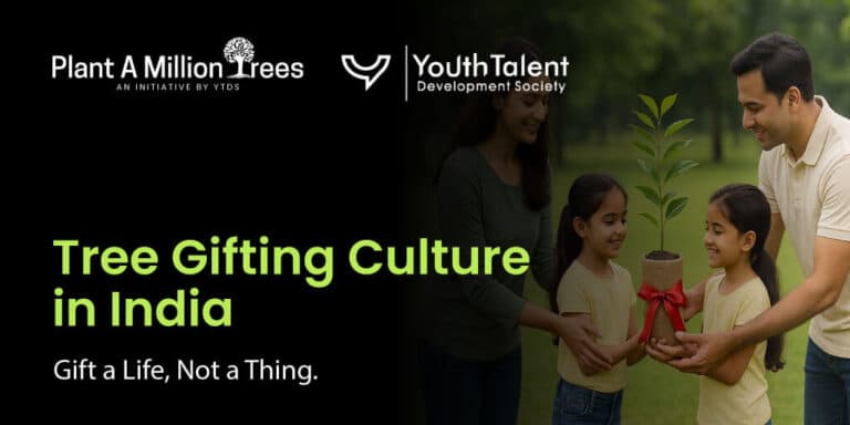 Tree Plantation NGO in Pune | Plant a Million Trees – YTDS