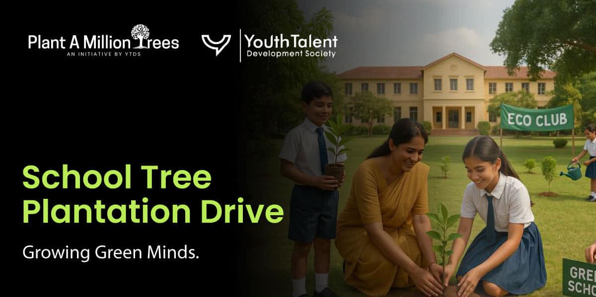 School Tree Plantation Drive Ideas for Students & Teachers