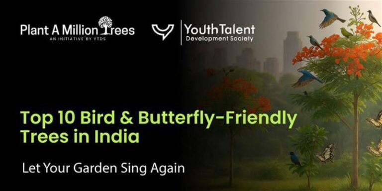 Top 10 Trees That Attract Birds and Butterflies in India