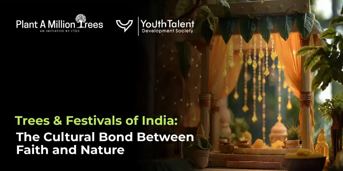 Trees and Indian Festivals: Sacred Traditions & Meanings