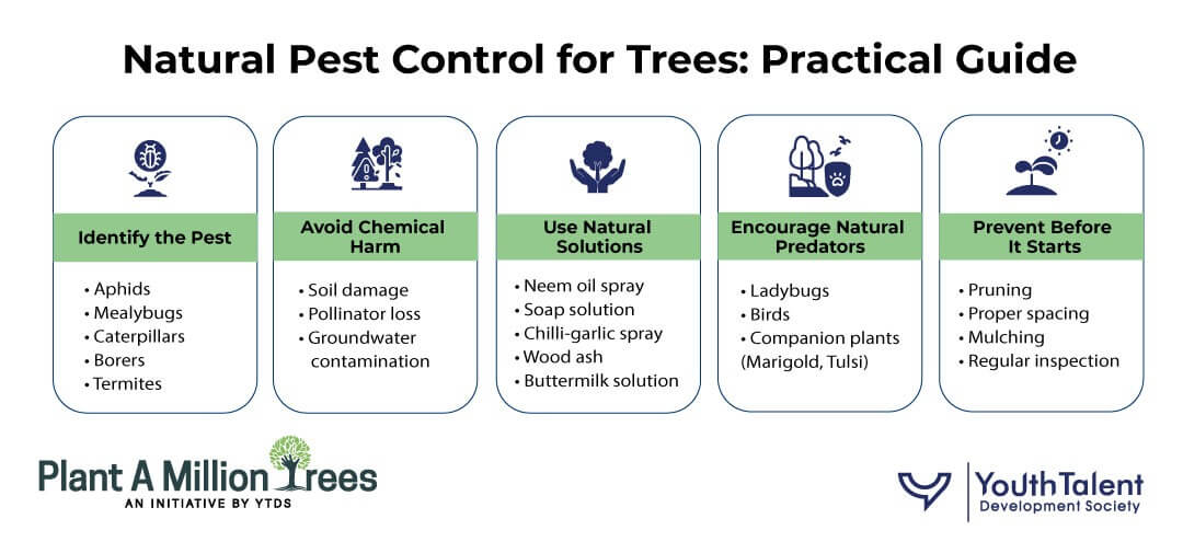 How to Protect Trees from Pests Naturally (Organic Guide)