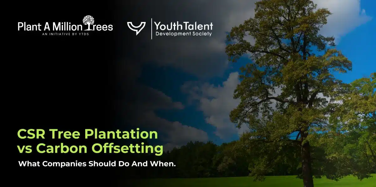 CSR Tree Plantation vs Carbon Offsetting for Indian Companies